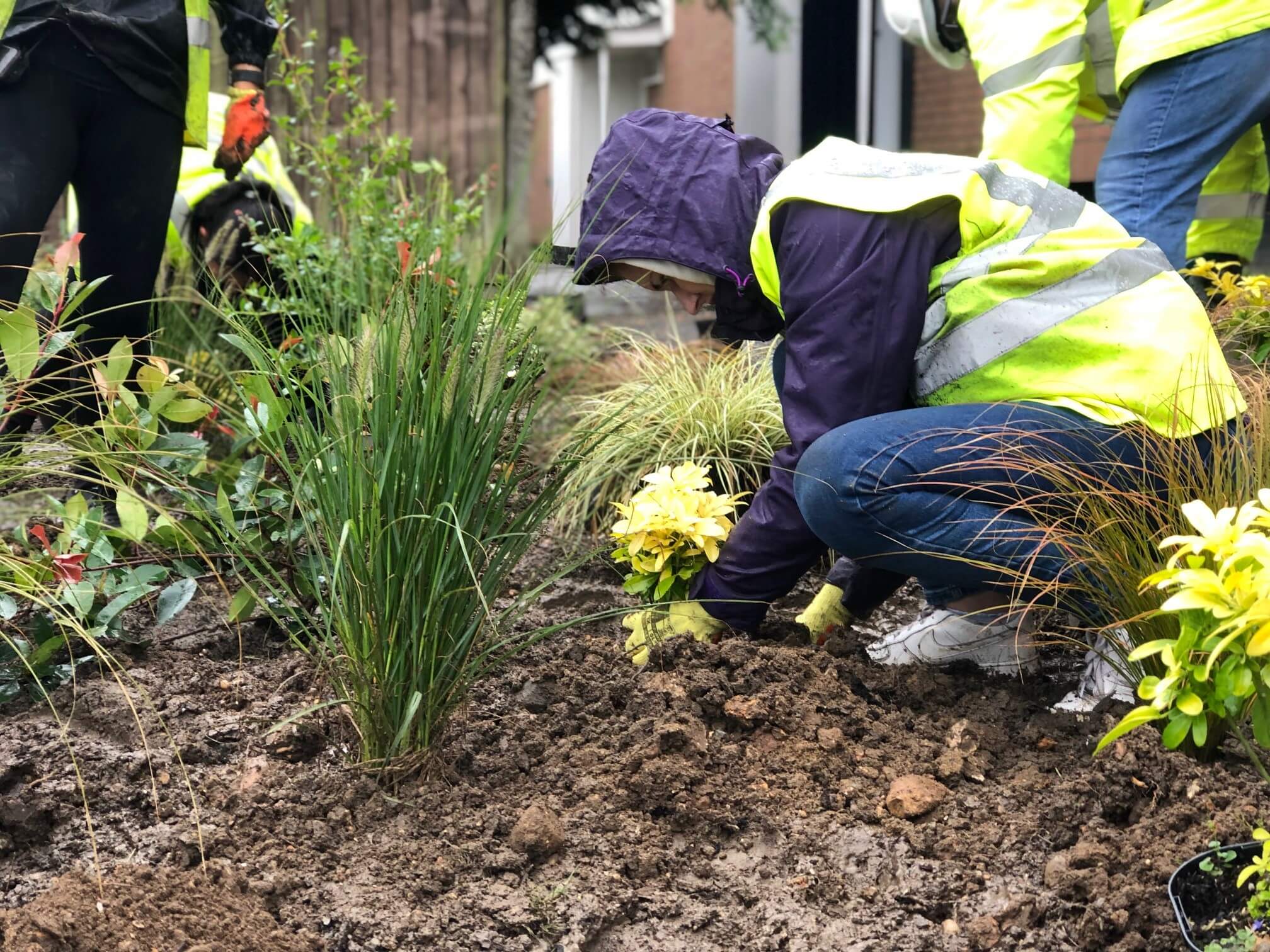 Making Boundary Way greener! | Watford Community Housing